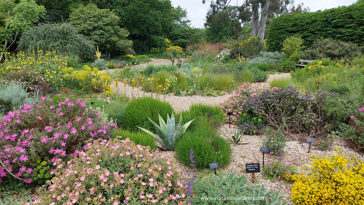10 Claves del jardín sin riego – Mompin's jardins – Visitando Jardines